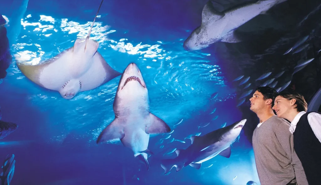 14+ Unique Things To Do In Melbourne For Young Adults